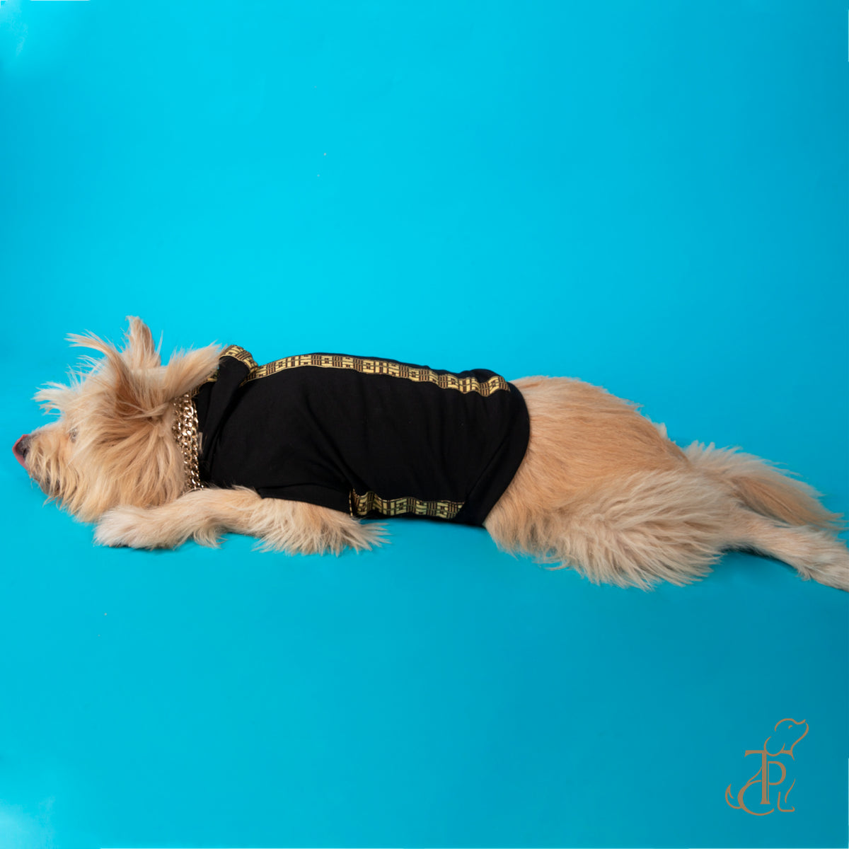 TPC Monogram Hoodie – thepapawcartel.com